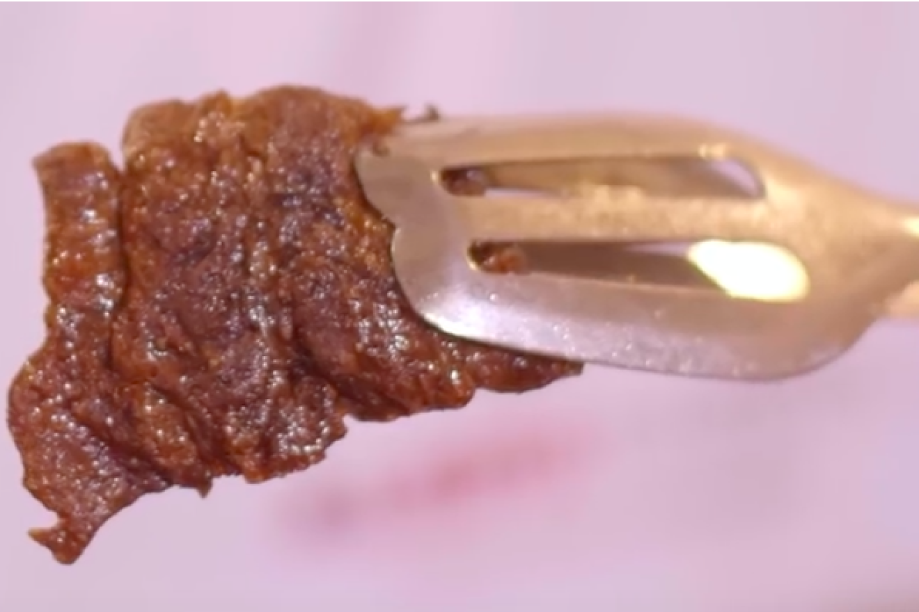 Israeli lab beef company seeks meaty future - JNS.org