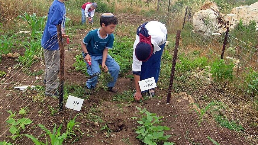 No, annexation wouldn’t hurt Israel - JNS.org