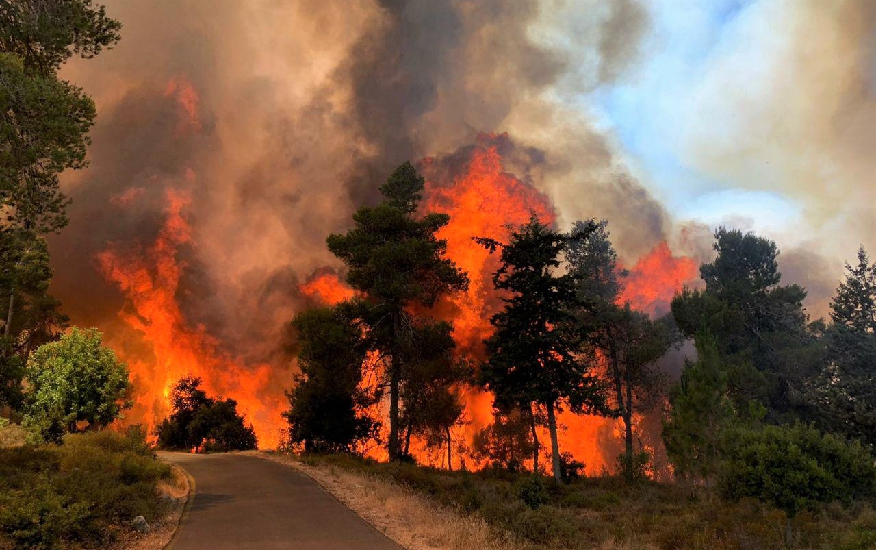 Forest fires ravage Jerusalem and environs, heightened by heat and ...