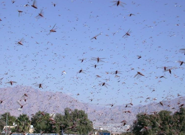 Not just in the Bible: Tel Aviv researchers’ novel explanation for ...