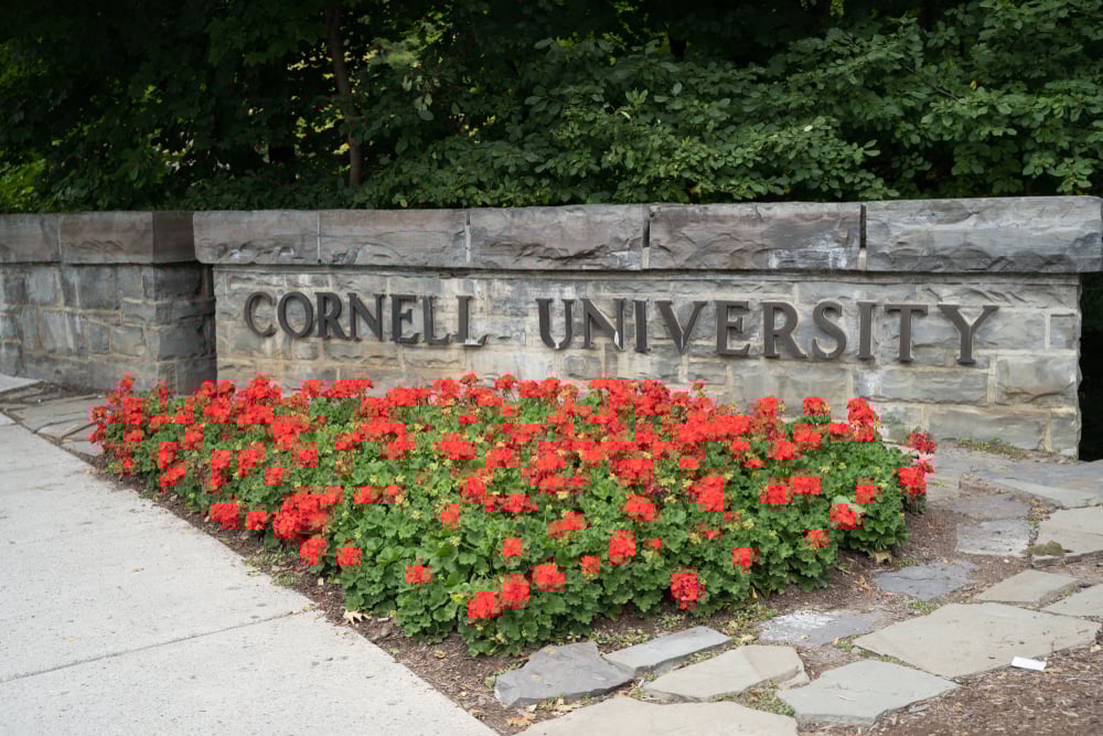 The president of Cornell University must tackle campus anti-Semitism ...