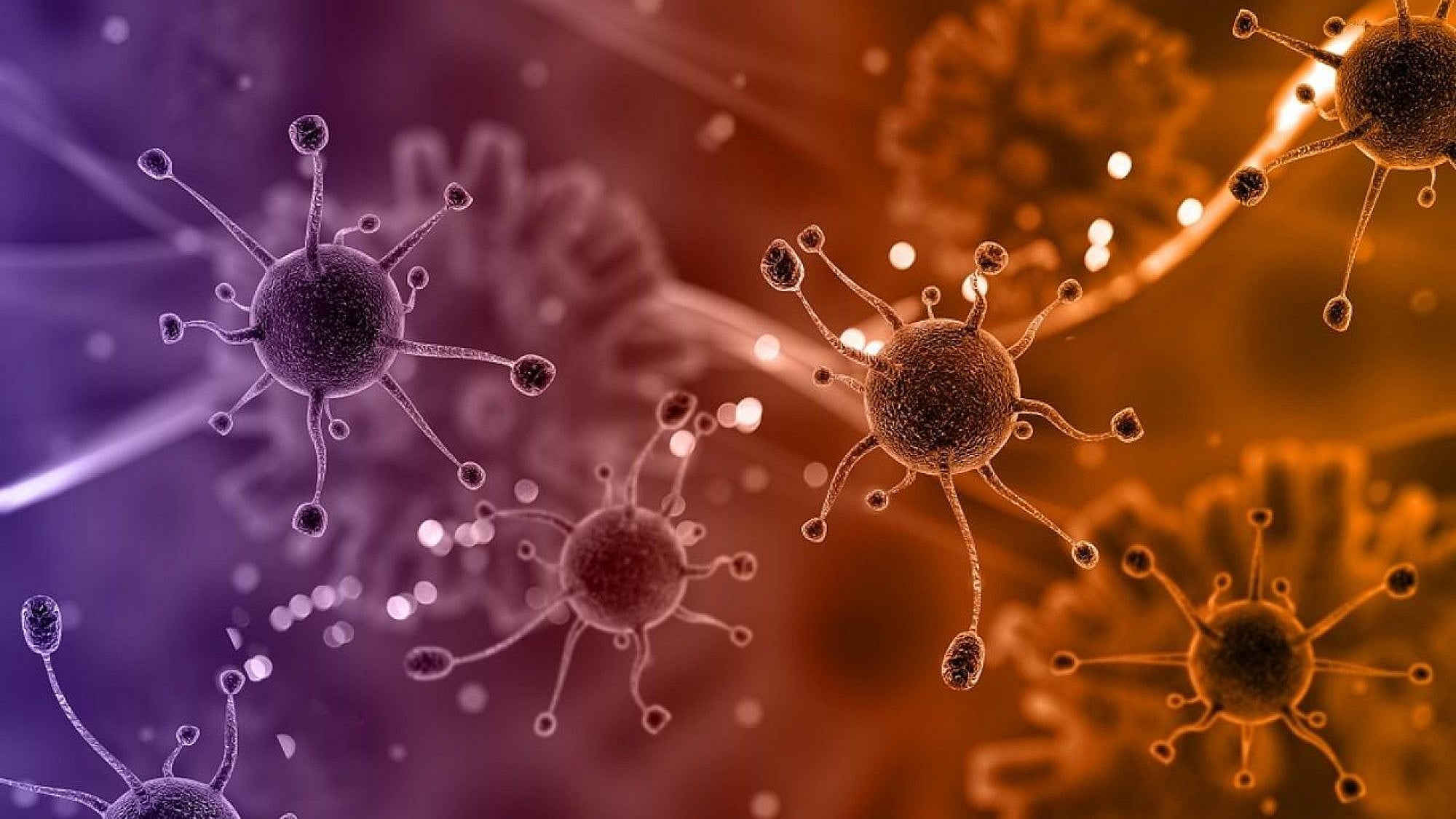 Bar-Ilan University researchers develop new nanotechnology to fight ...