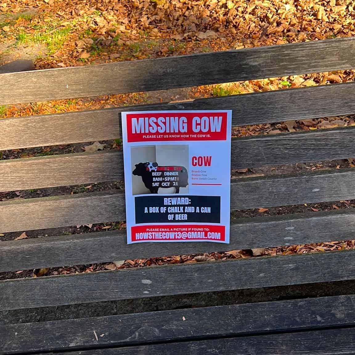 ‘Missing cow’ posters mocking Israeli hostage fliers dot Penn campus ...