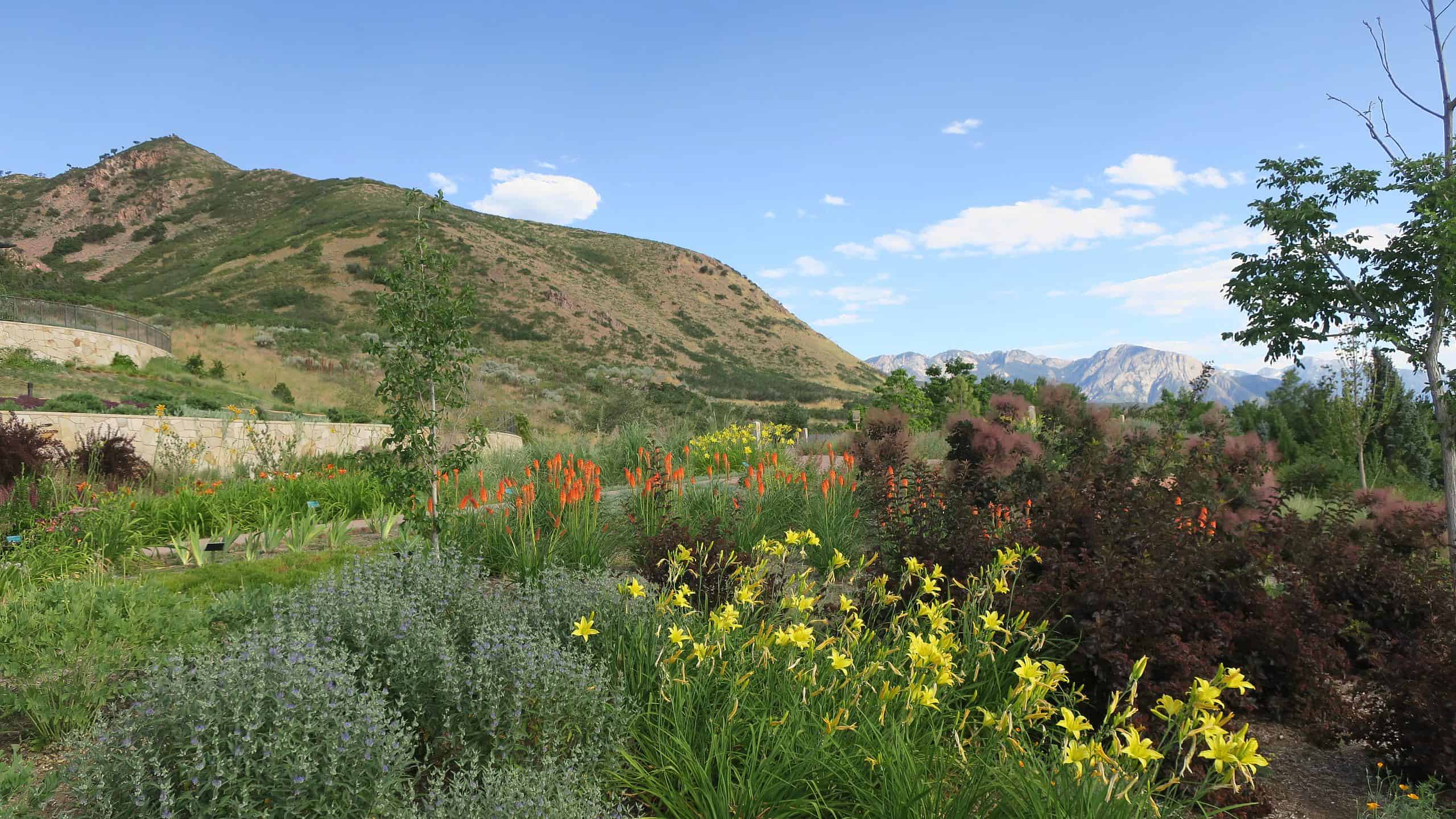 University of Utah ‘one of most Jewish friendly,’ says rabbi, after ...