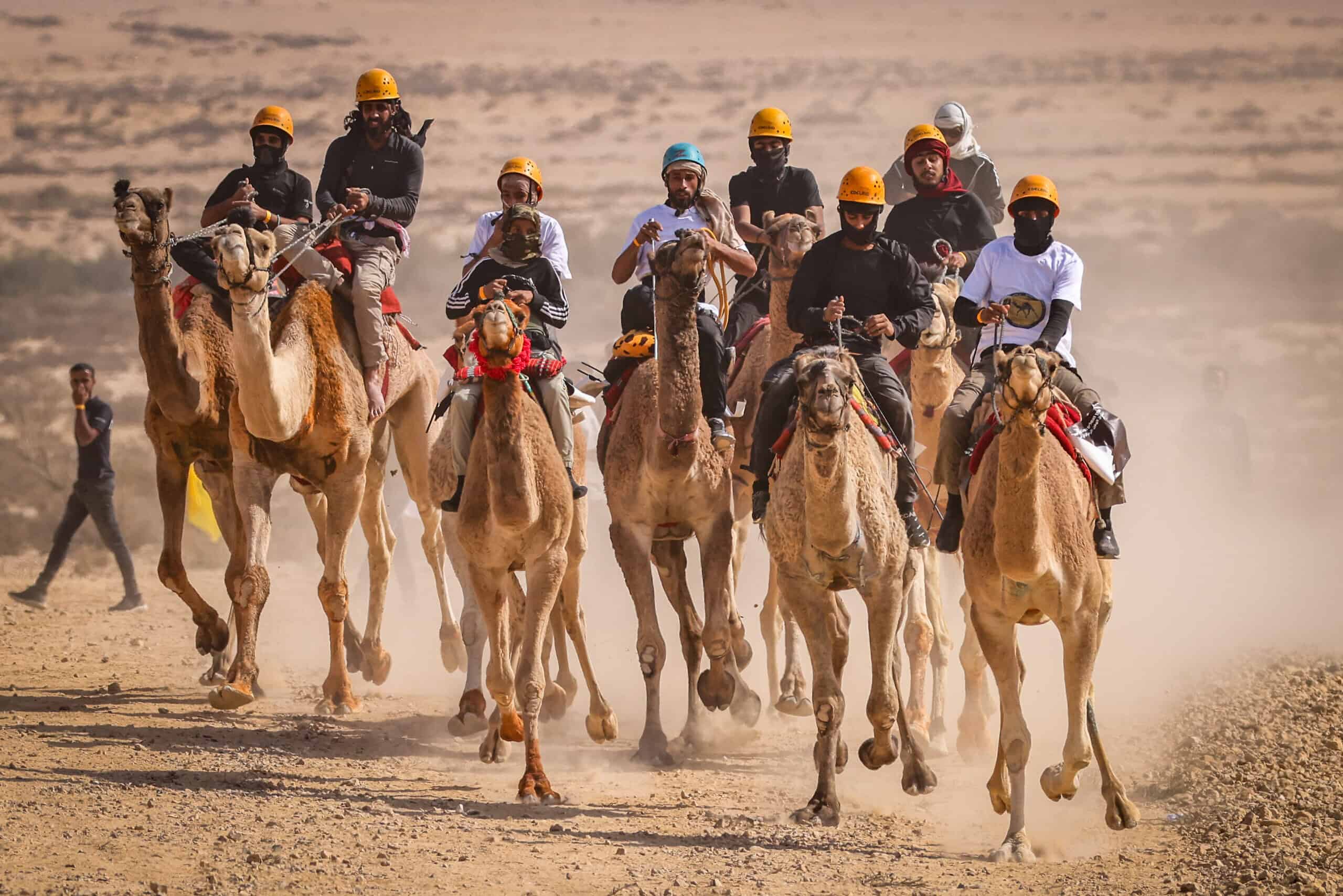 Thousands gather in Negev for Israel’s first legal camel race - JNS.org