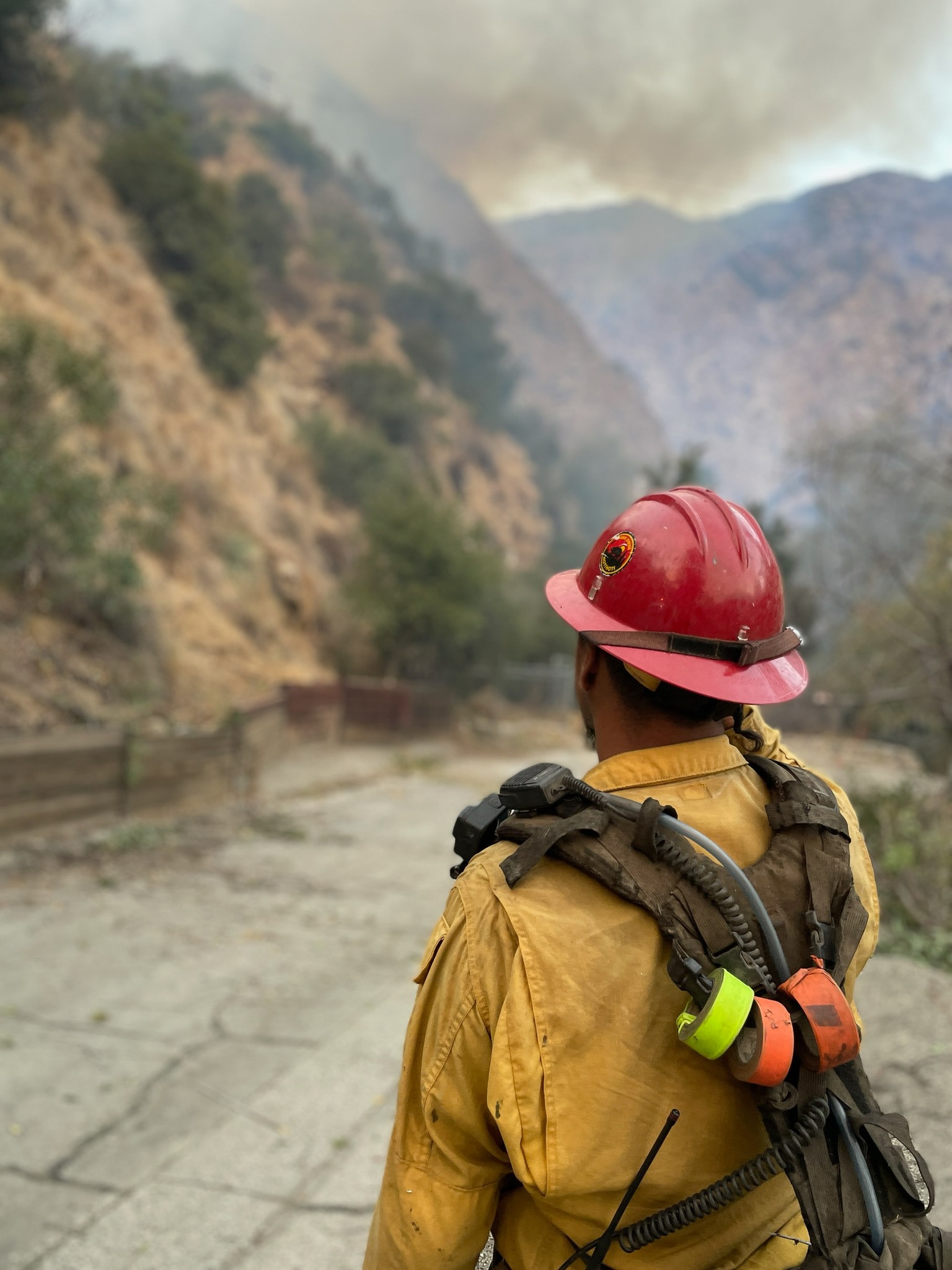 Code Pink slammed for comparing California wildfires, Gaza ‘genocide ...