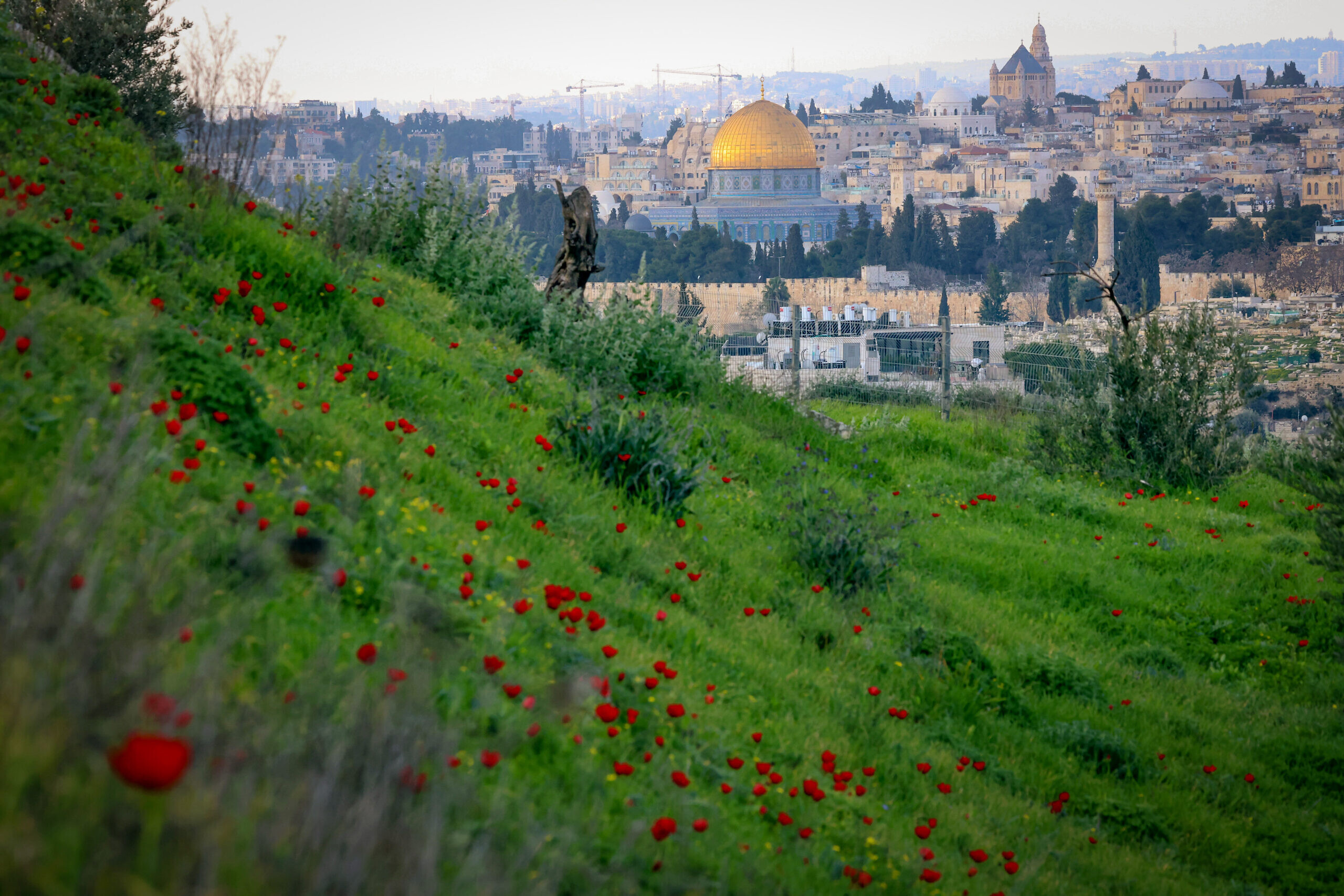 Fiji deputy PM: Jerusalem embassy will 'most definitely' be inaugurated ...