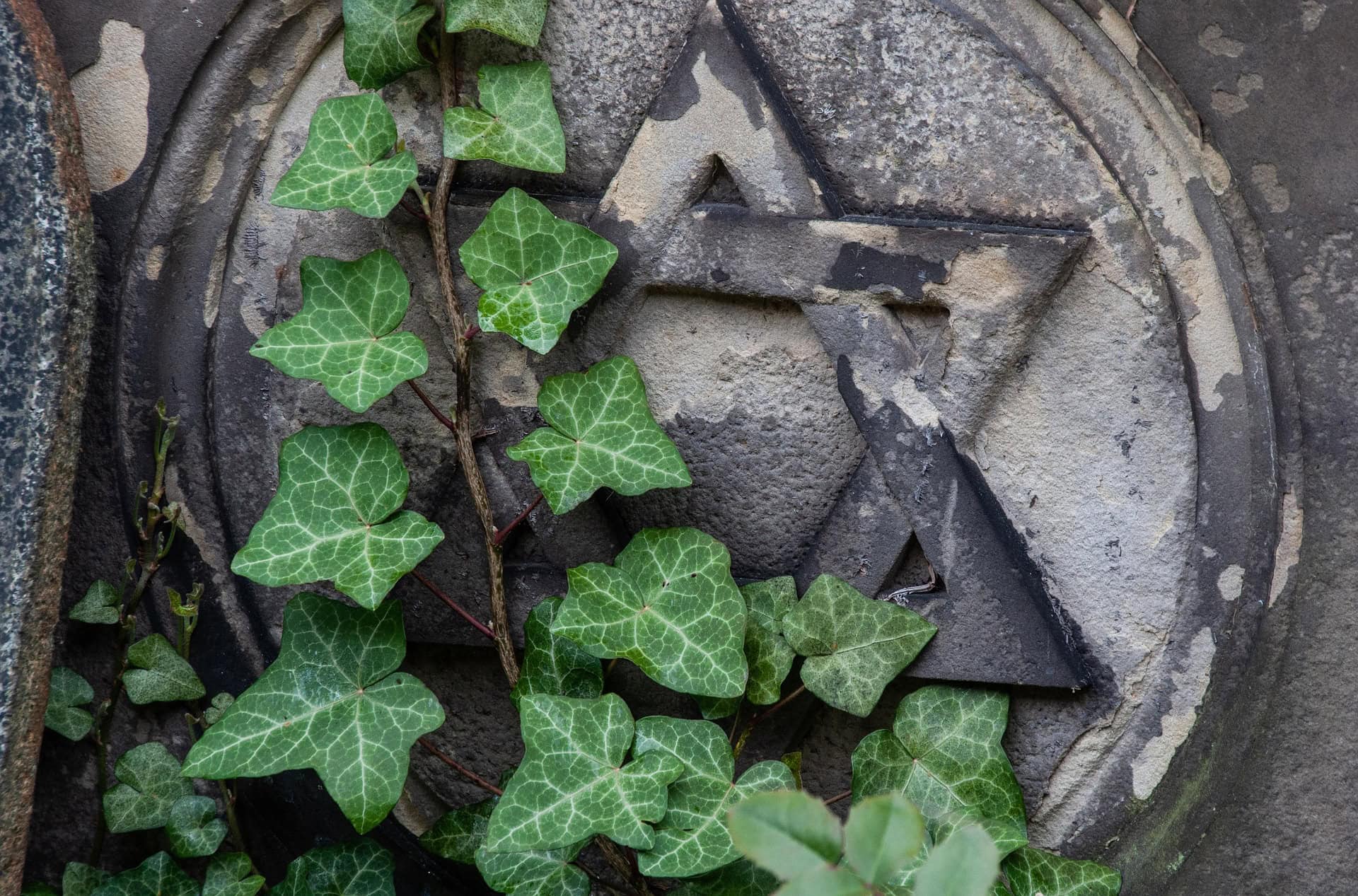 Jewish caucus urges DHS to drop ‘onerous’ nonprofit security grant ...