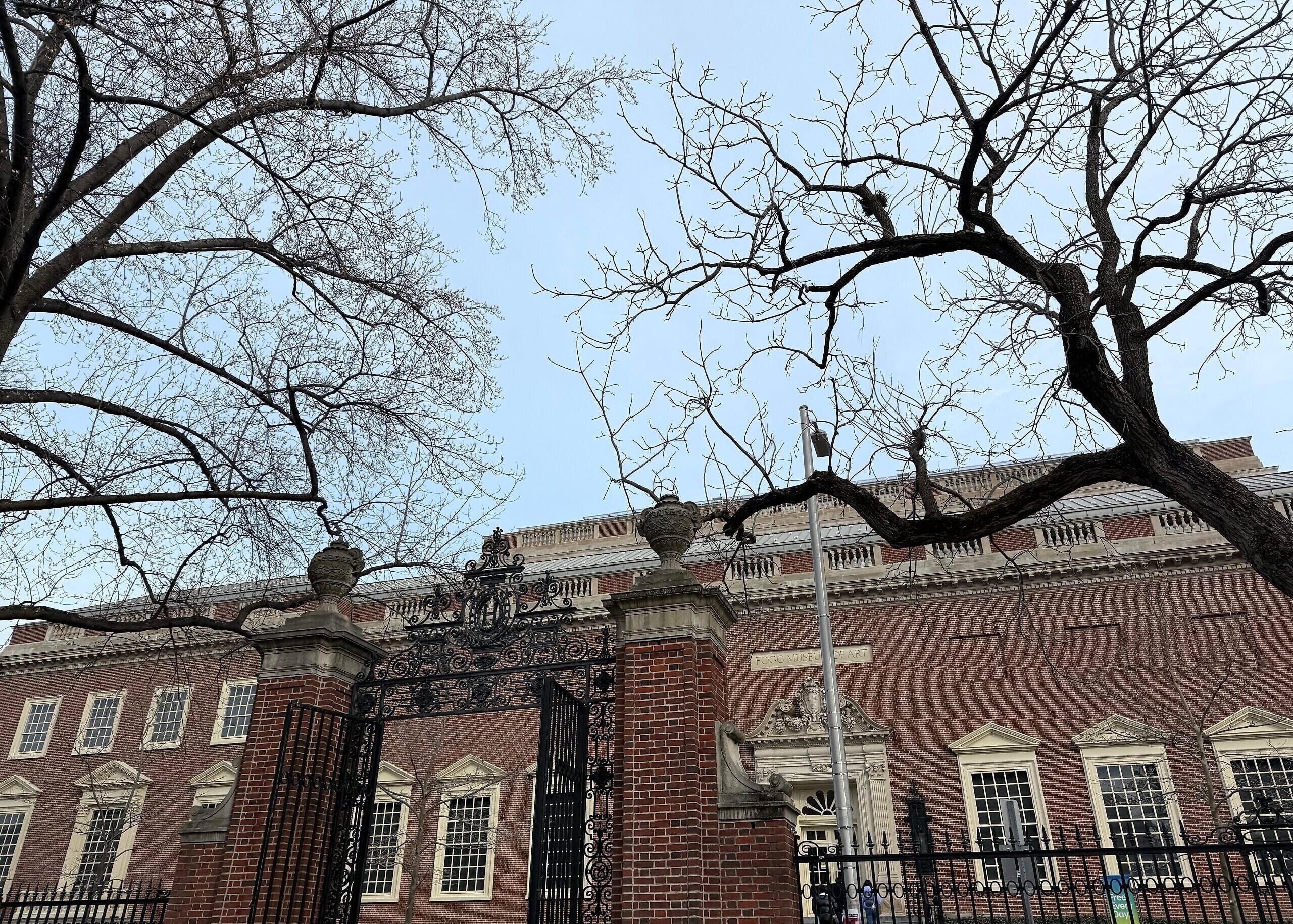 Harvard prof who fired pellet gun near synagogue on Yom Kippur to leave ...