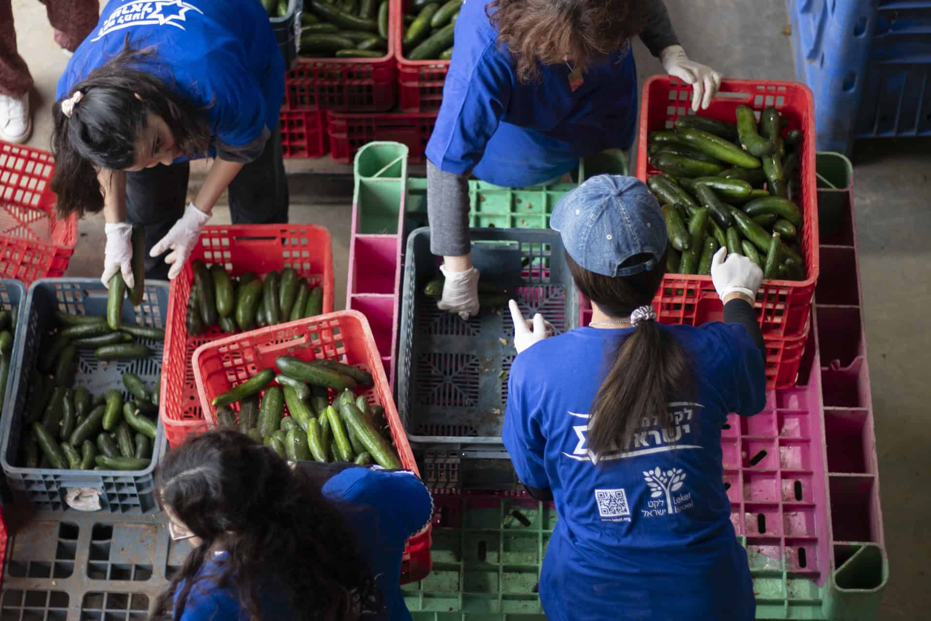 Leket Israel launches emergency measures during war with Iran - JNS.org