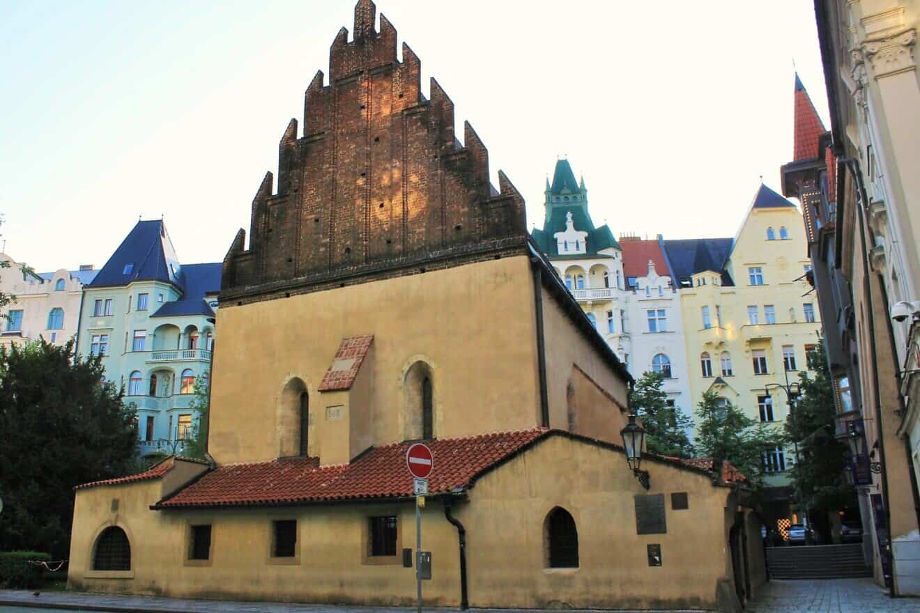 Finding purpose - JNS.org