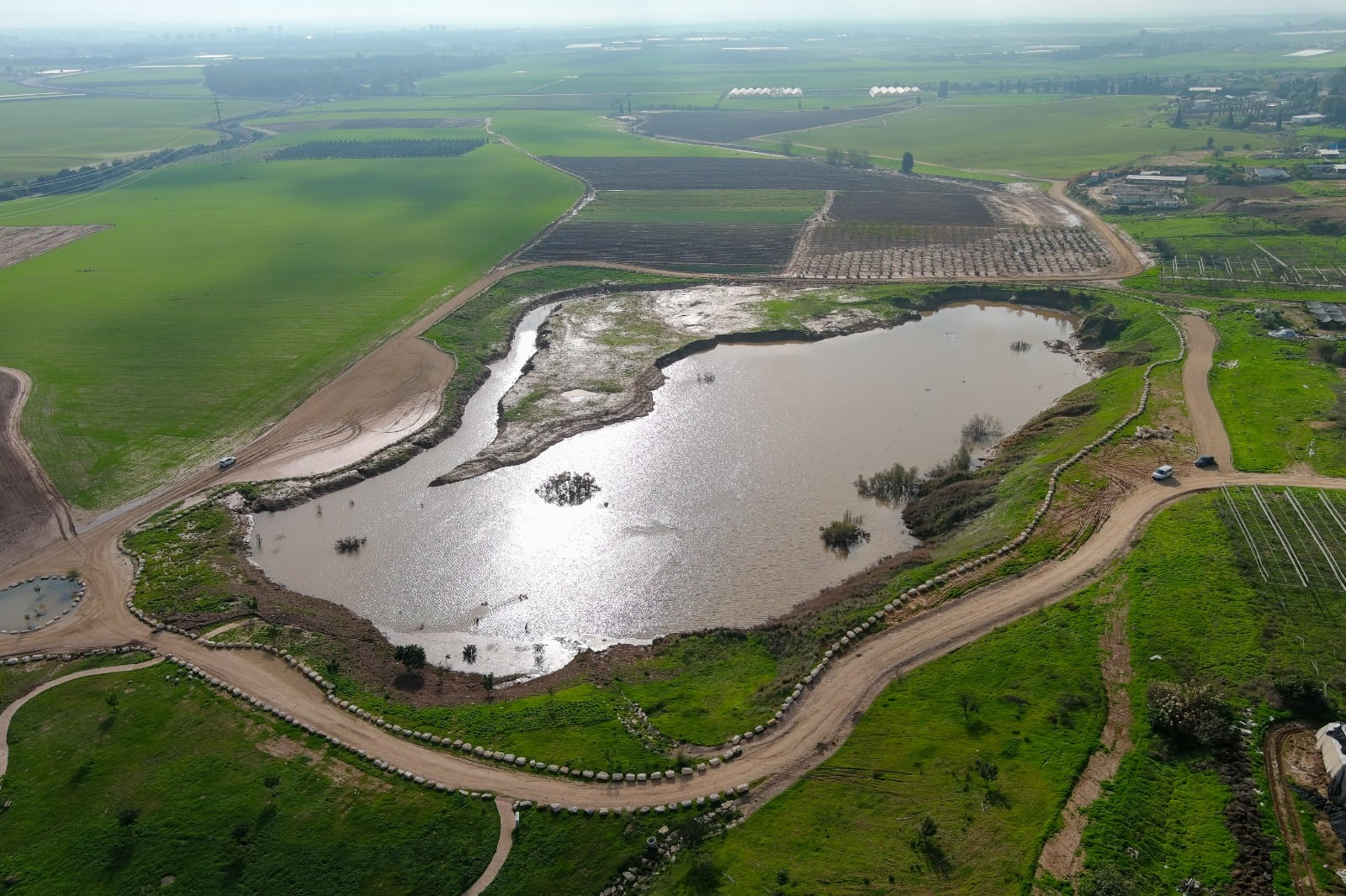Heavy rainfall turns parts of Negev green following two years of war ...
