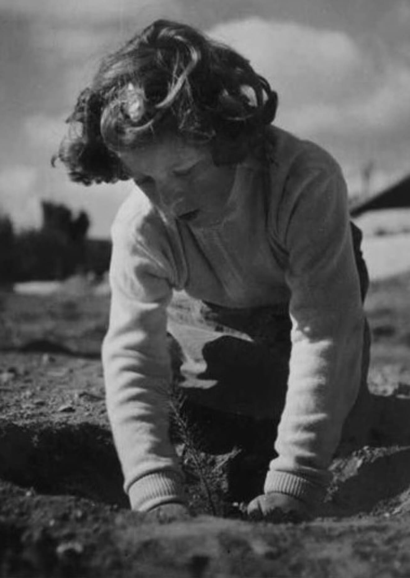 Tu B’Shevat: ‘New Year for Trees’ continues to flourish in Israel and ...