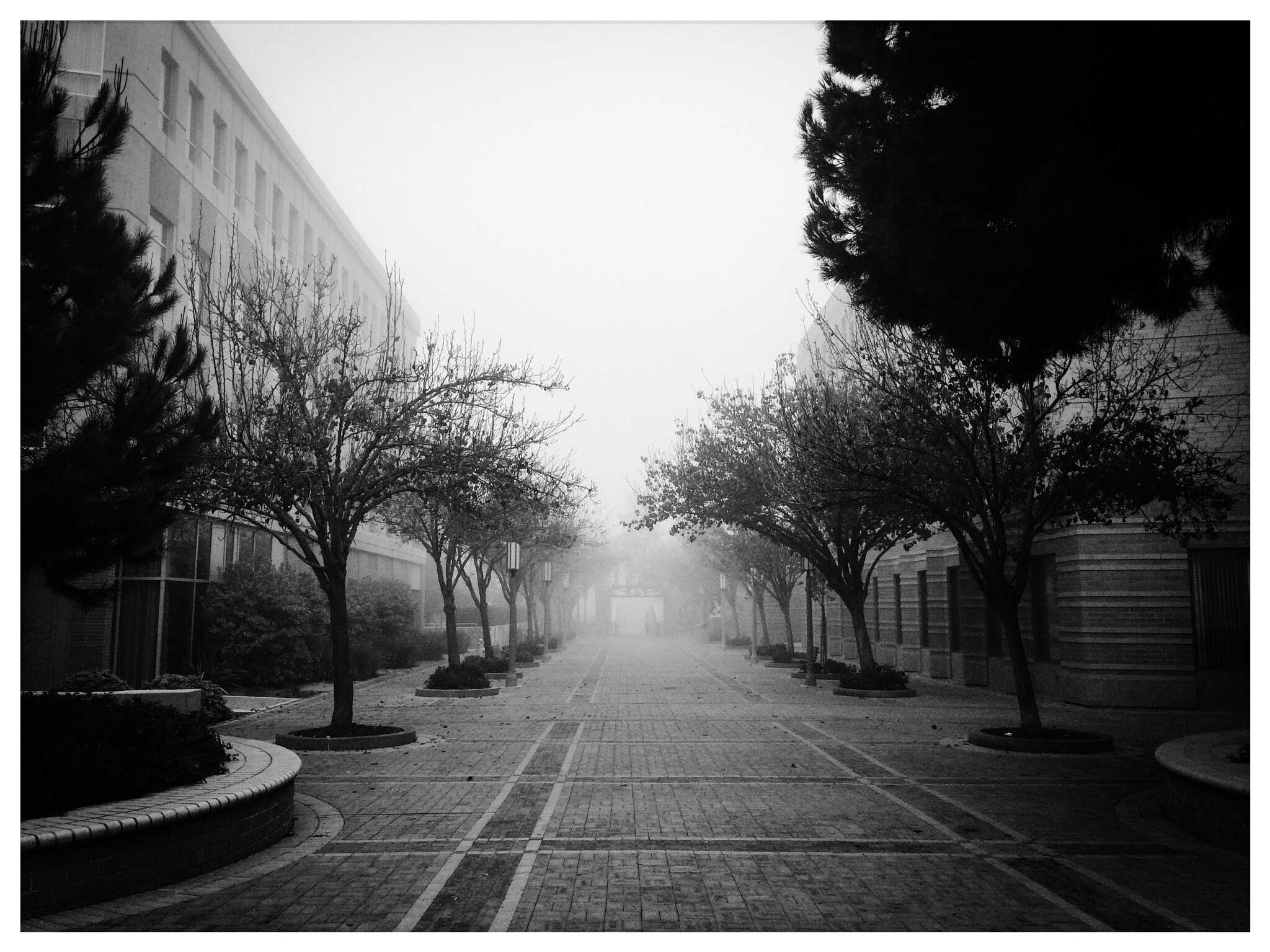 Jewish groups at UC Irvine decry student government statement for ...